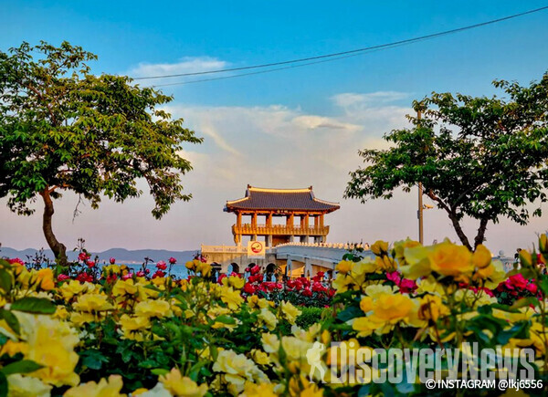 5월 그윽한 향기가 가득한 장미 명소 여행지 4선.. 진한 꽃 향기로 가득한 곳에서의 꽃 축제