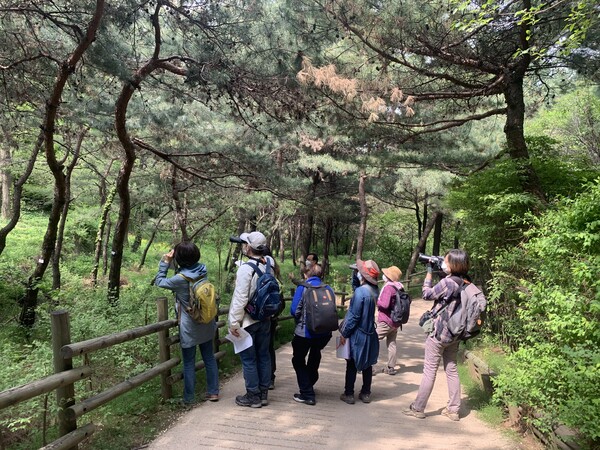 서울시, 시민들의 자원활동 남산,용산가족공원의 야생조류 지속적 정기적 모니터링 실시