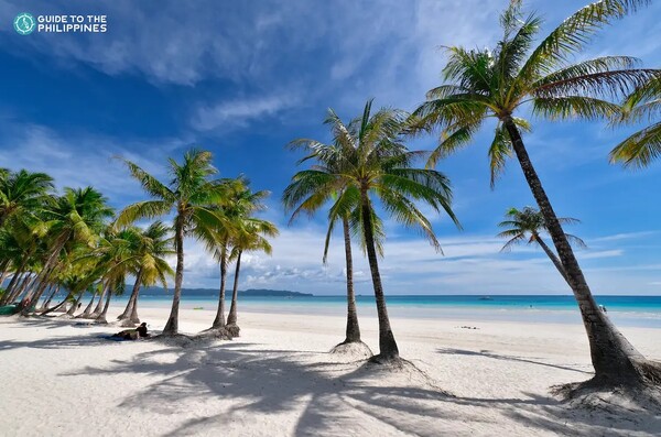 GTTP, 온라인플랫폼 공식 SNS(페북) 런칭